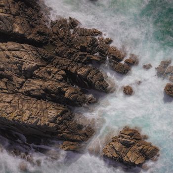 La Société Guernesiaise | Nature, History & Science in Guernsey