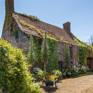 La Société Guernesiaise | Nature, History & Science in Guernsey